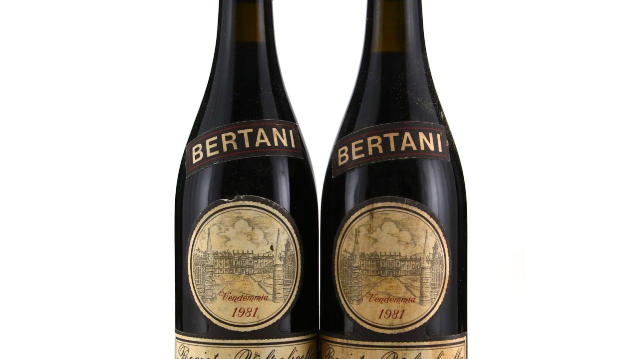 Bertani 1981 Recioto Valpolicella Classico Superiore Wine | Wine Auctioneer