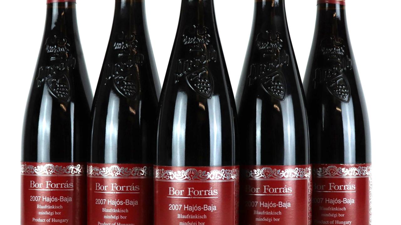 Pieroth Bor Forras Blaufrankish 2007 Hungary Wine | Wine Auctioneer