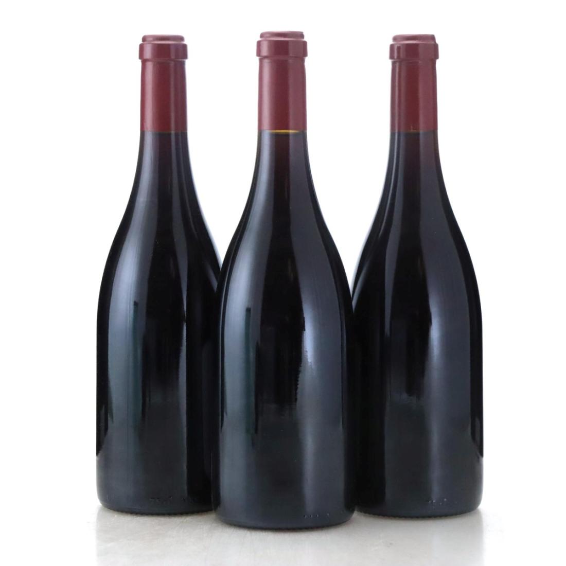 Domaine Sylvain Cathiard En Orveaux 2010 x 3 | Wine Auctioneer