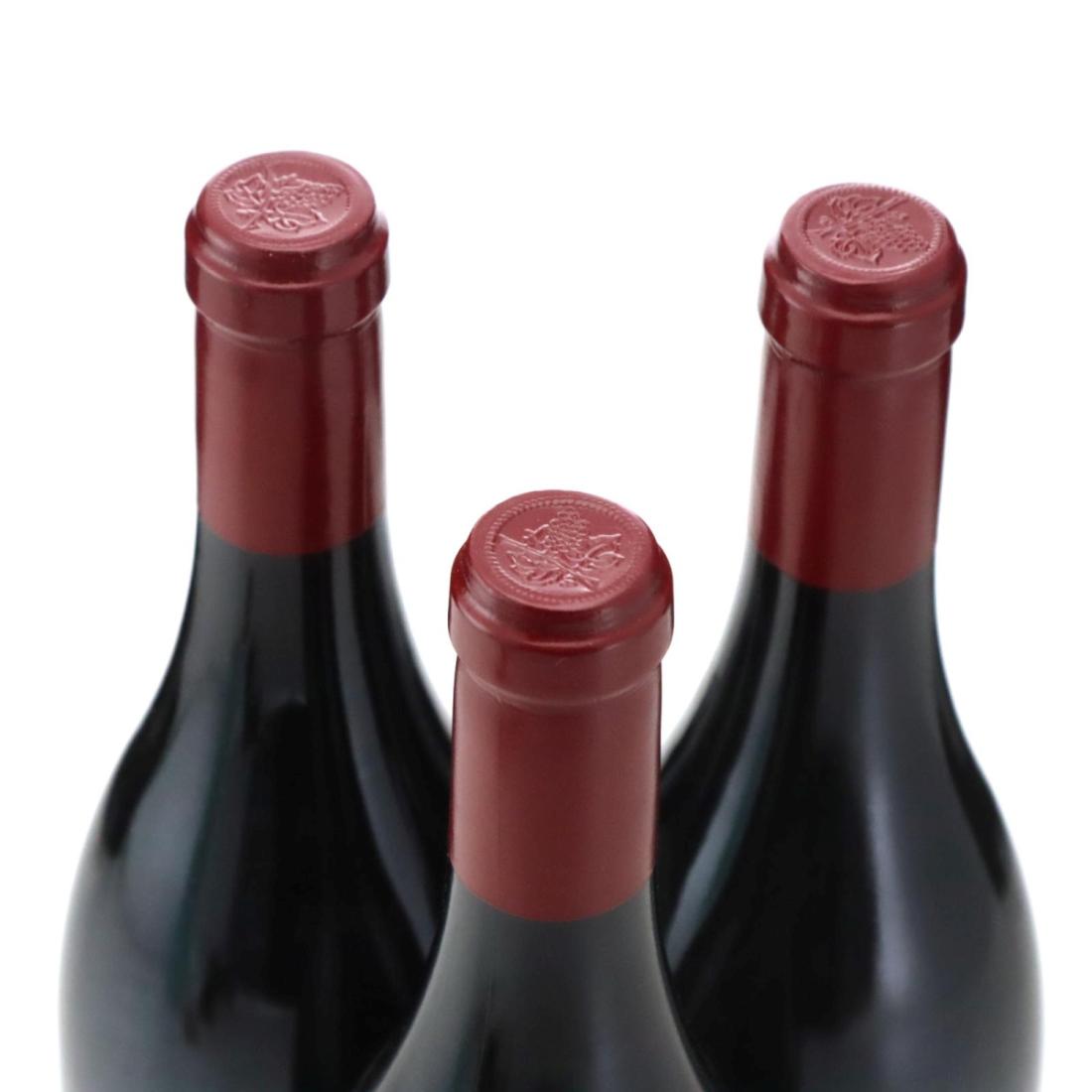 Domaine Sylvain Cathiard En Orveaux 2010 x 3 | Wine Auctioneer